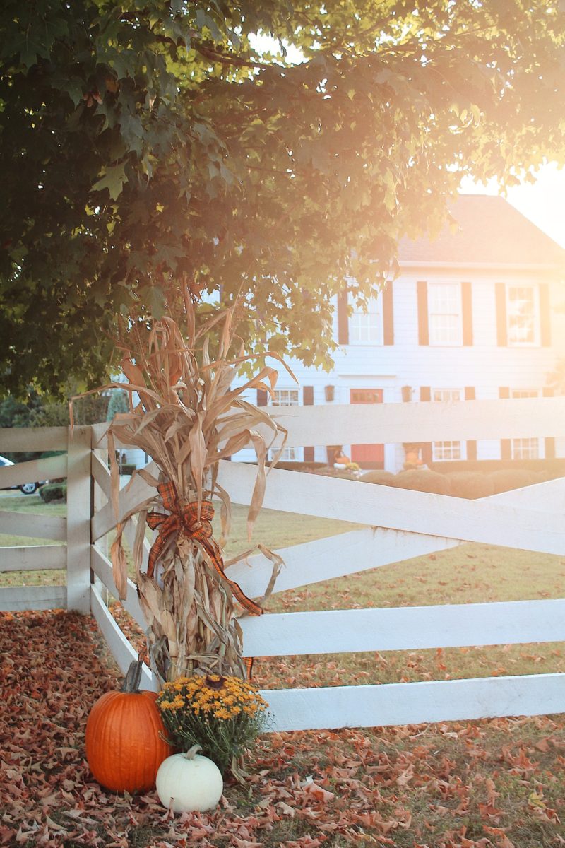 The Essentials for Outdoor Fall Decorating - Musings by Madison